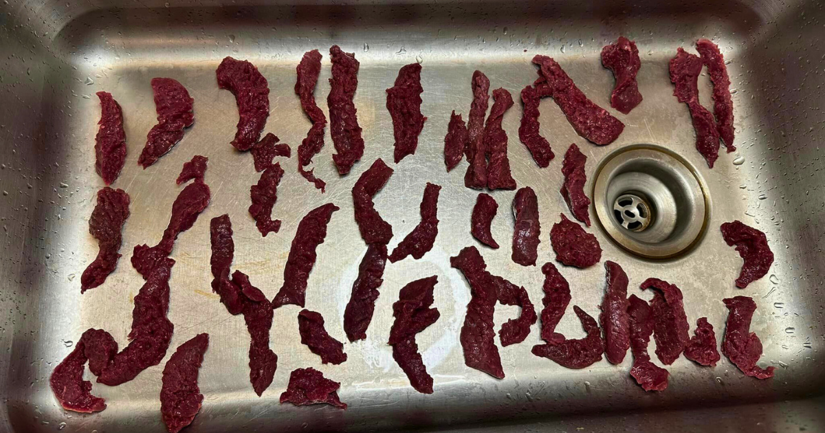 How to perfectly pan-fry the Best Deer Steak - Jessie's